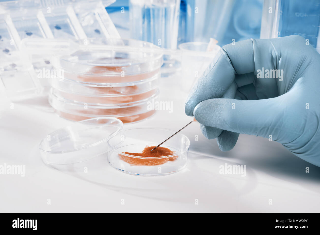 Laboratory meat hand hi-res stock photography and images - Alamy