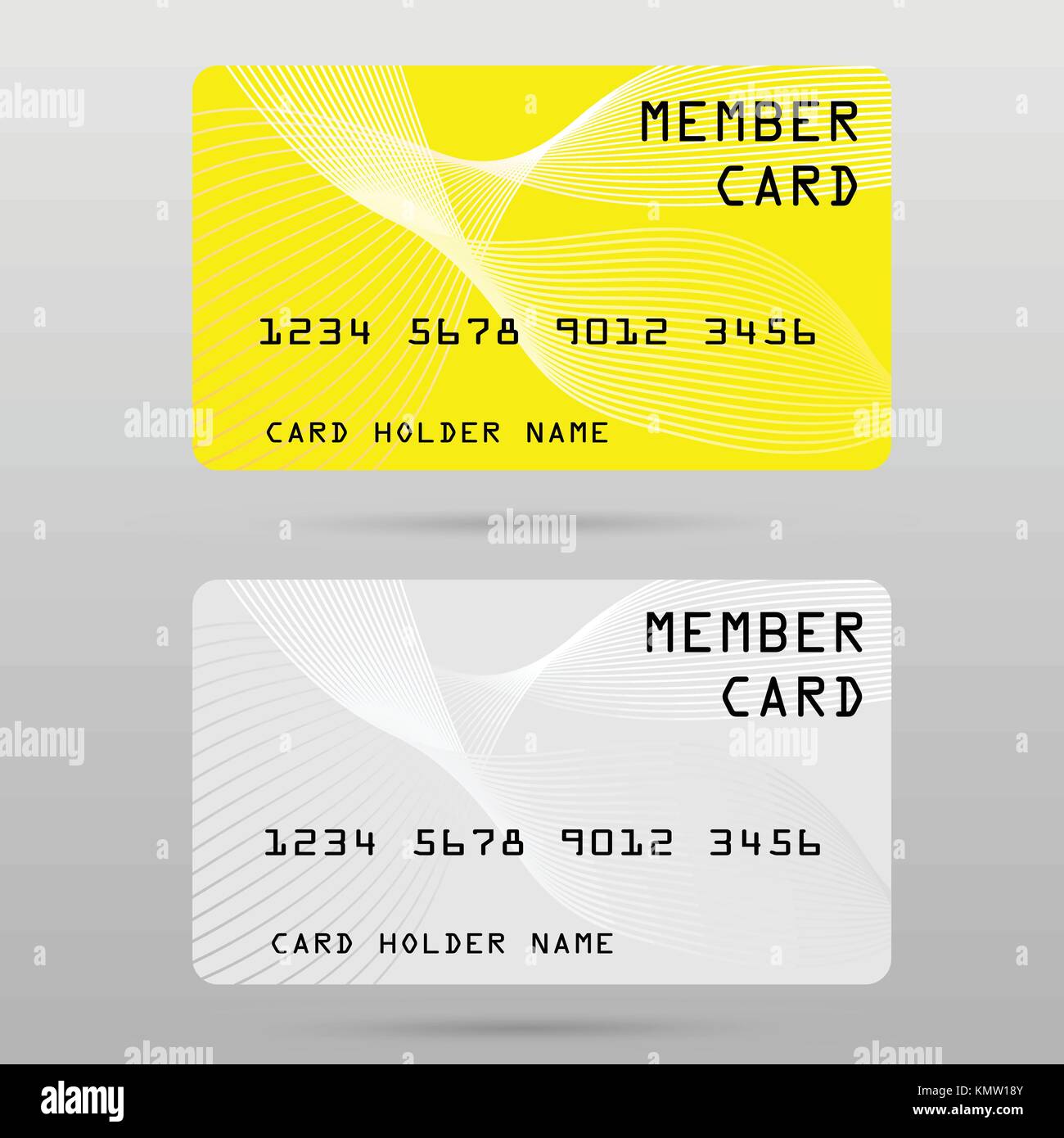 member card, business VIP card, design for privilege member,vector ...