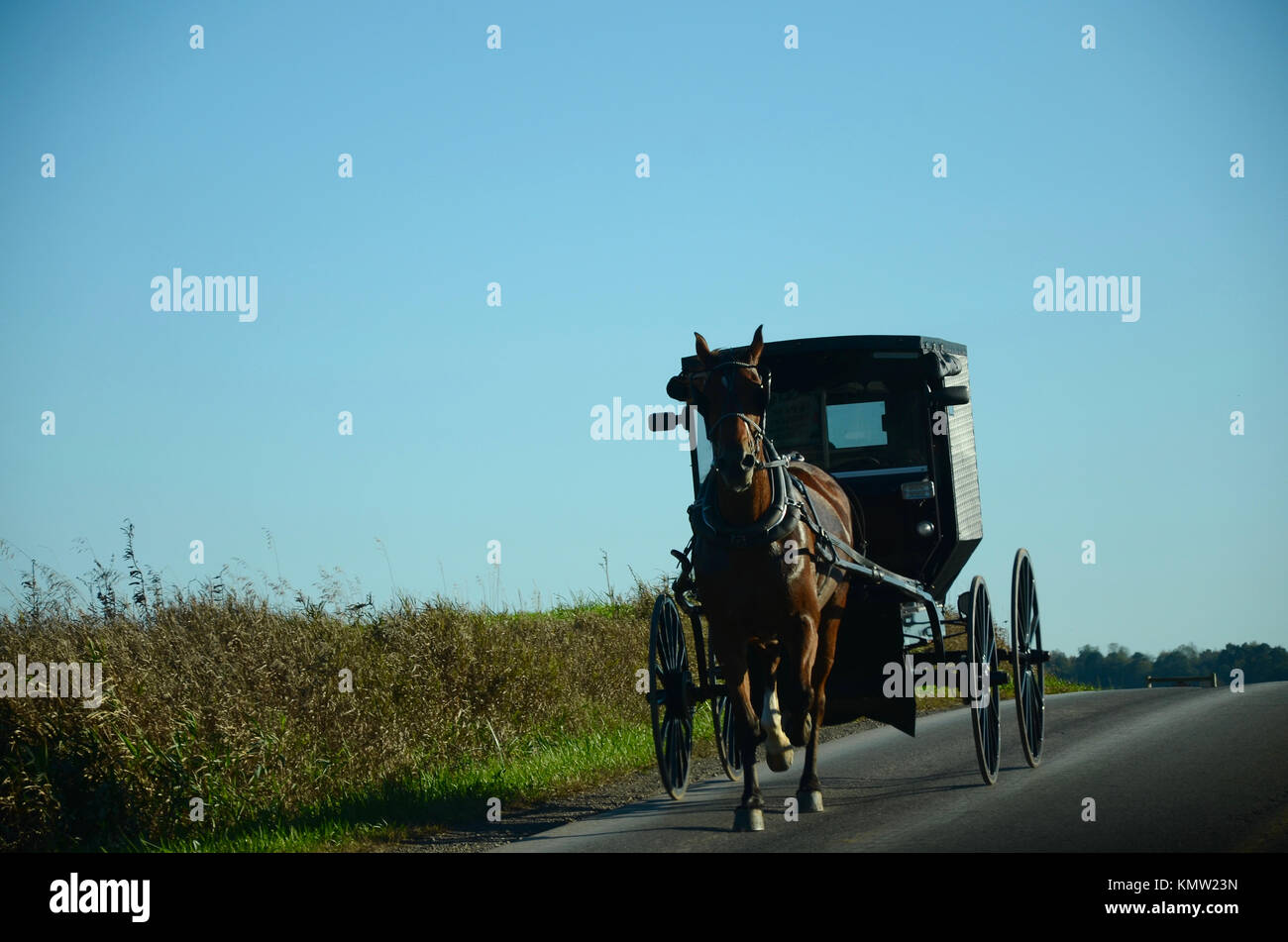 Amish buggy being driven on road in Holmes County, Ohio, USA Stock ...