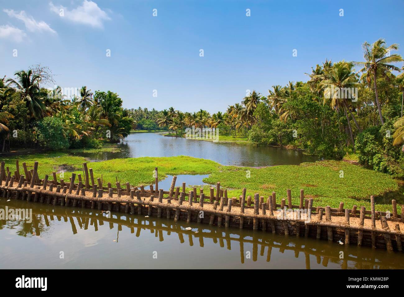 Backwaters kerala sunlight hi-res stock photography and images - Alamy