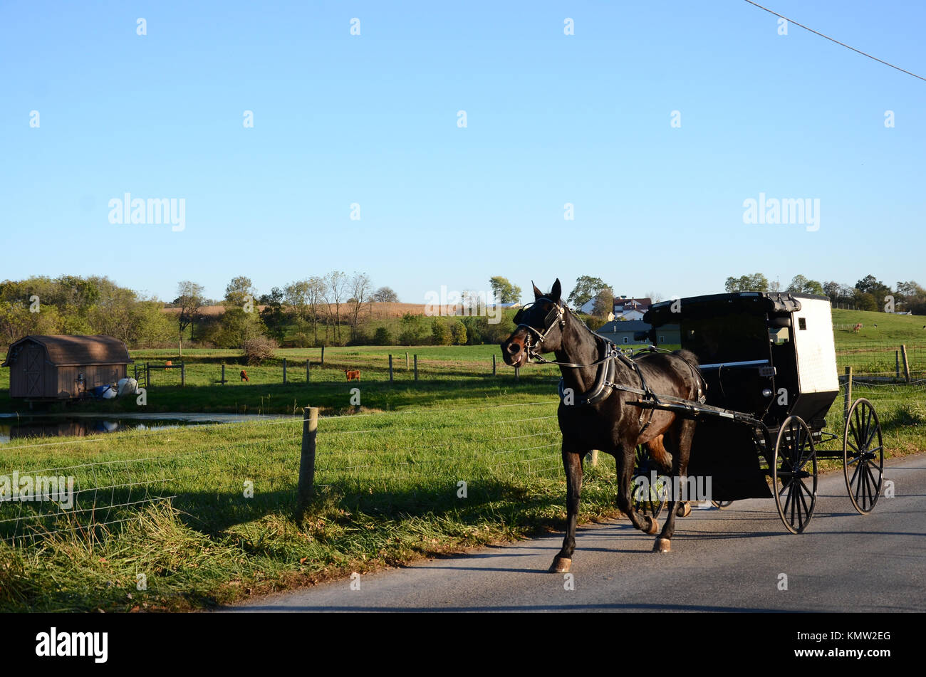 Amish buggy being driven on road in Holmes County, Ohio, USA Stock ...