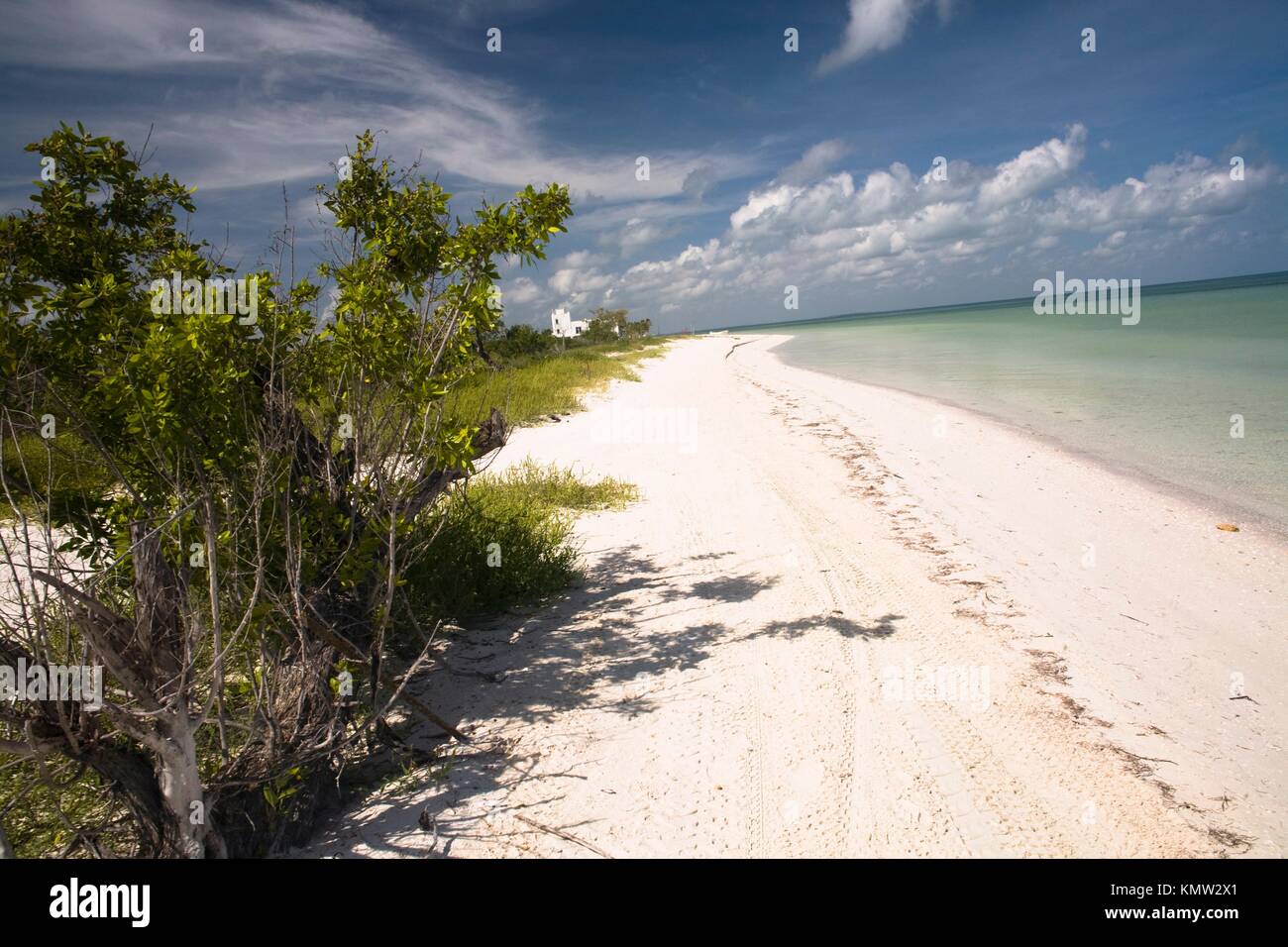 Yucatan holbox hi-res stock photography and images - Alamy