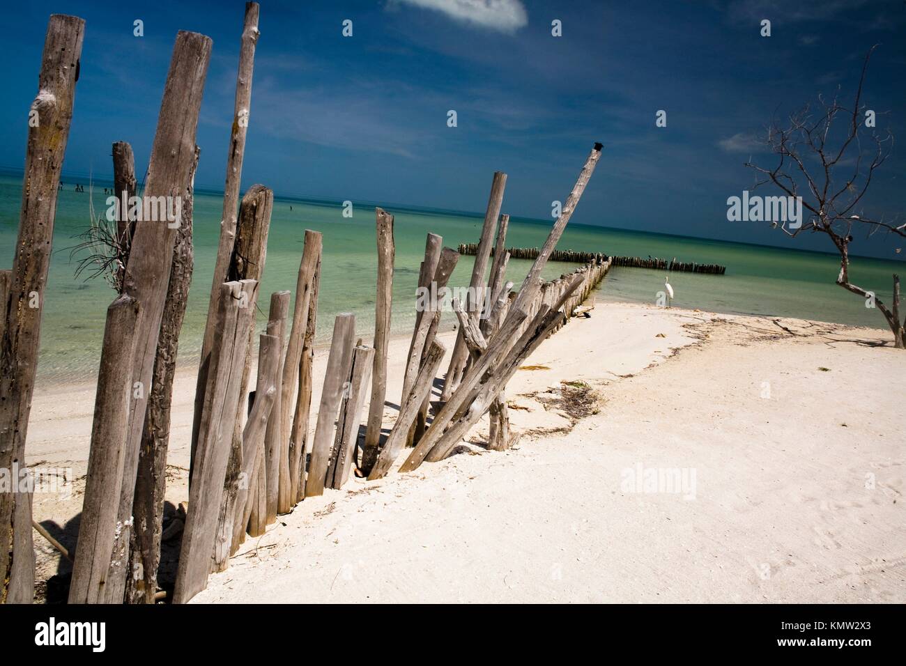 Yucatan Holbox High Resolution Stock Photography and Images - Alamy