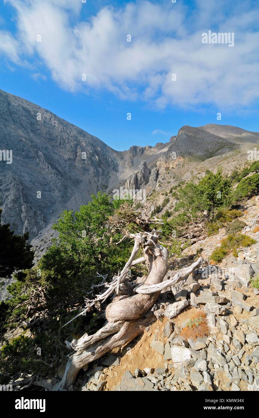 Crete Lefka Ori High Resolution Stock Photography and Images - Alamy