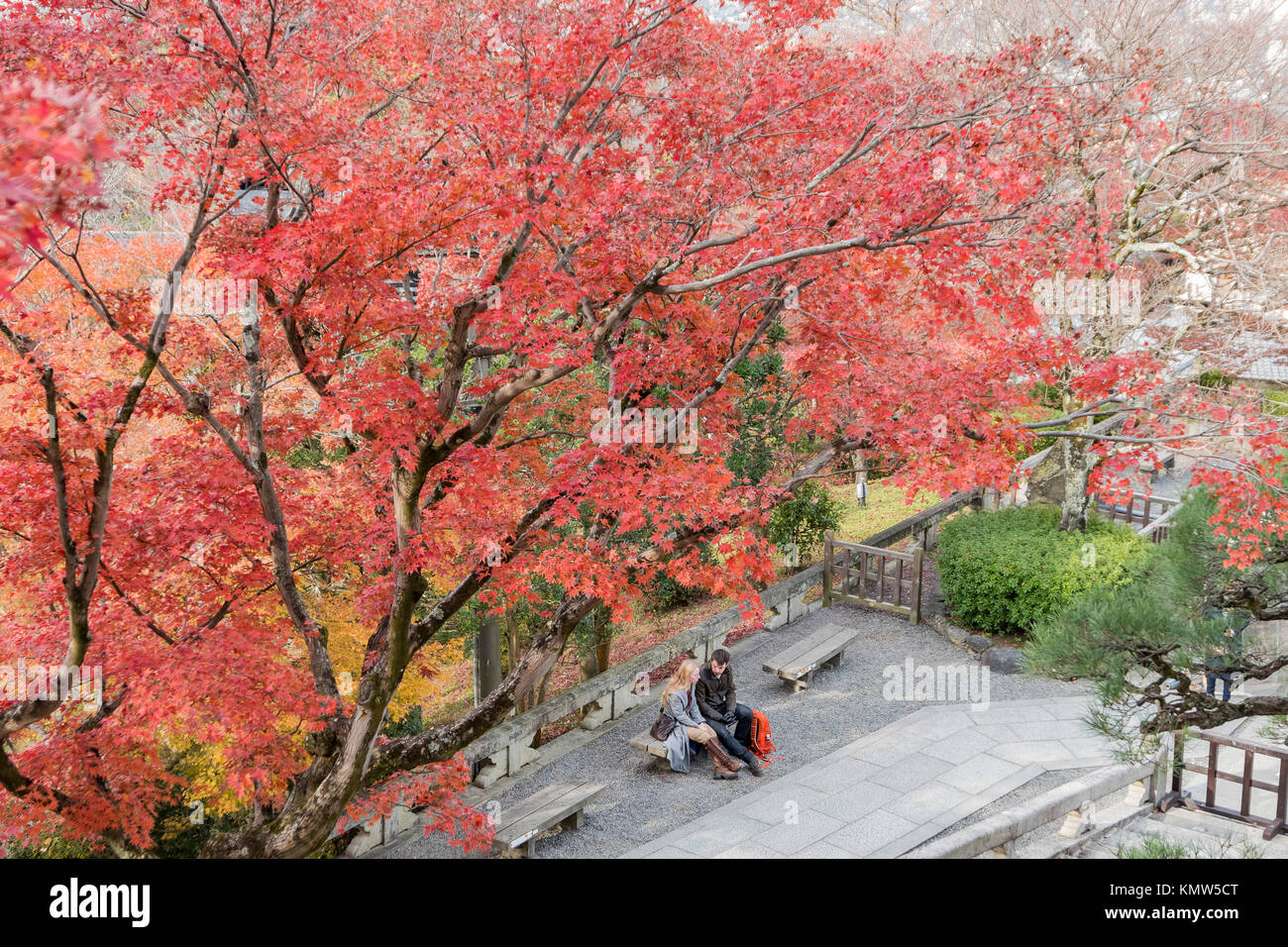 Kyoto, NOV 26: The beautiful Otowa-san Kiyomizu-dera in fall color on ...
