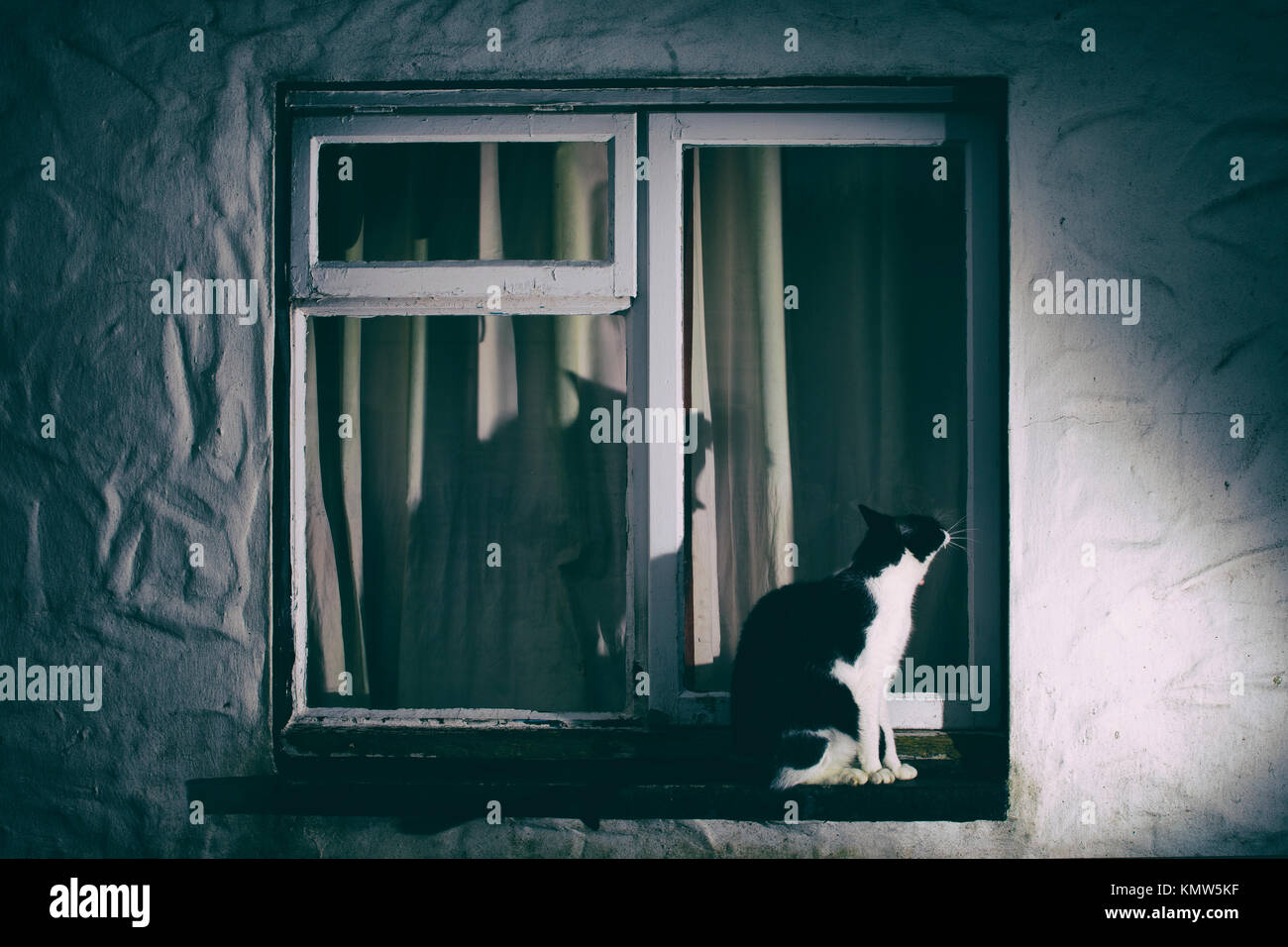 Hungry House High Resolution Stock Photography and Images - Alamy