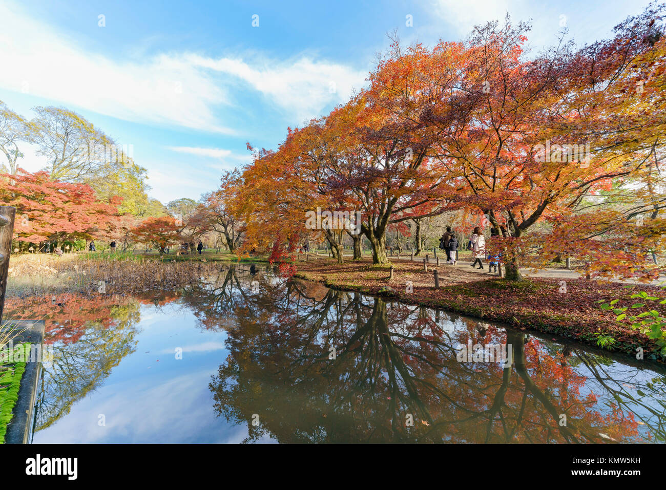 Beautiful fall color of Kyoto Botanical Garden, Kyoto, Japan Stock ...