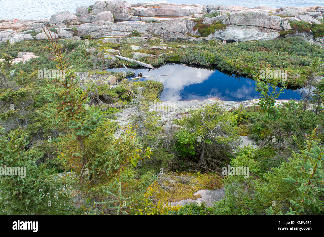 Rocks and pines in Quebec, Canada Stock Photo - Alamy