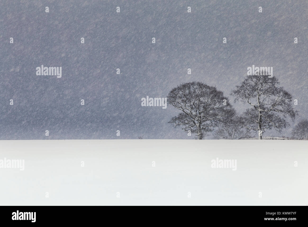 Heavy Snowfall over Scenic British Countryside Fields Stock Photo - Alamy