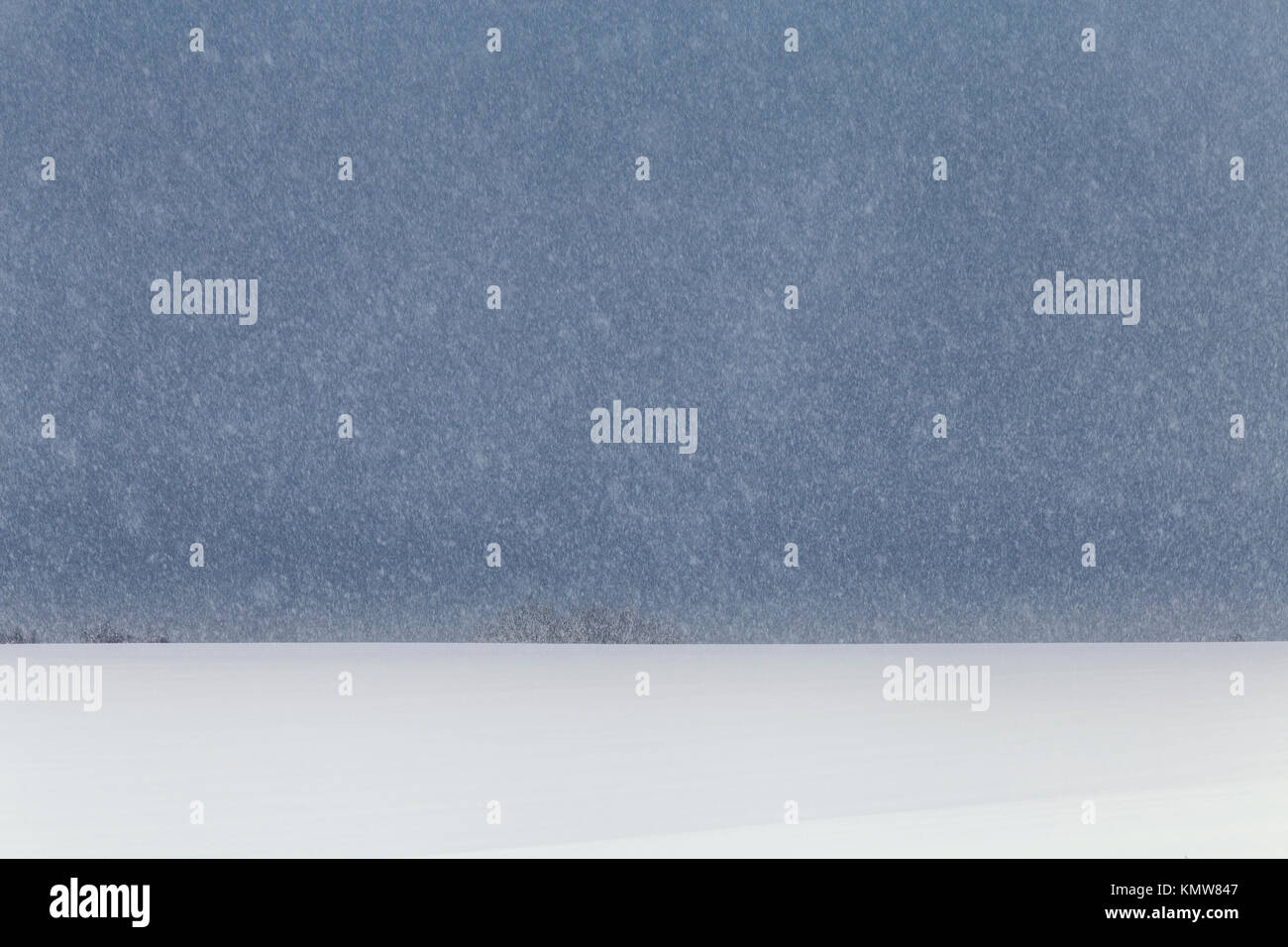 Heavy snow falling over countryside fields Stock Photo - Alamy