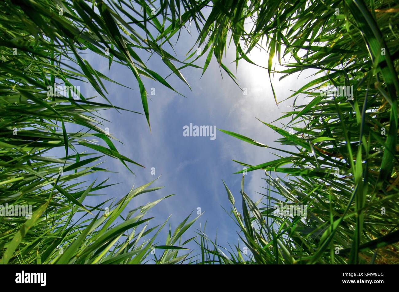 Vision and prairie beautiful hi-res stock photography and images - Alamy
