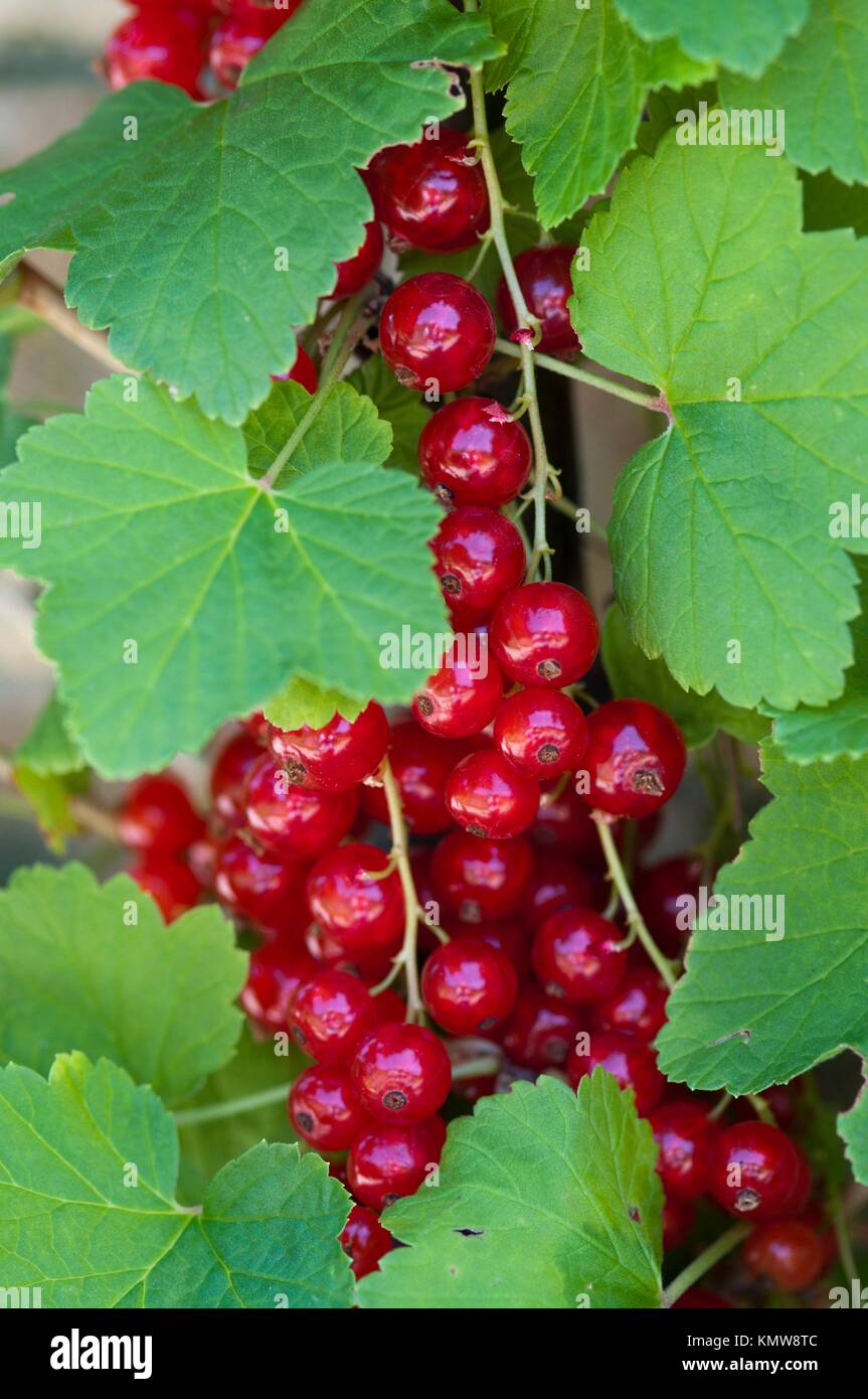 West number hi-res stock photography and images - Alamy