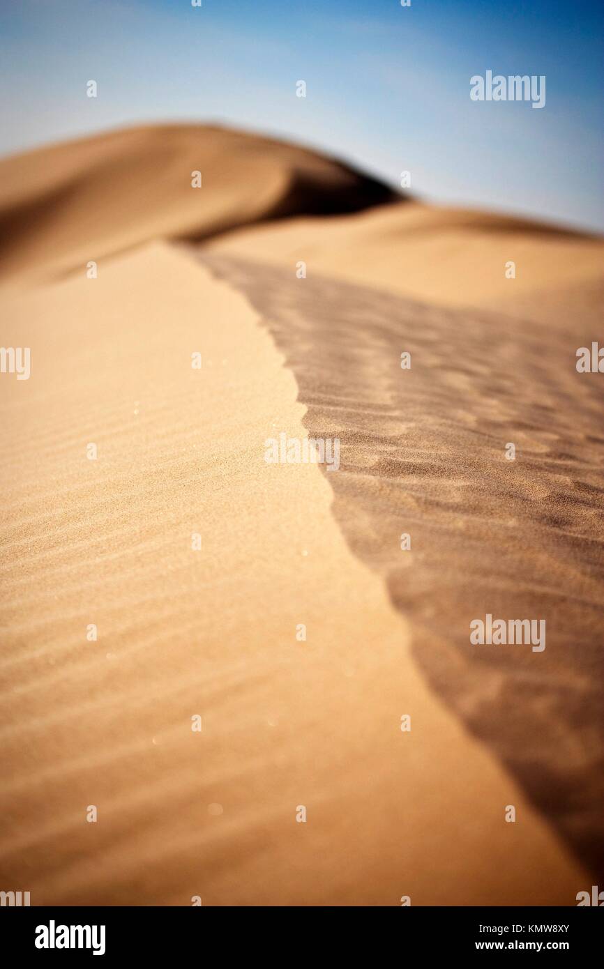 Crest of dune hi-res stock photography and images - Alamy