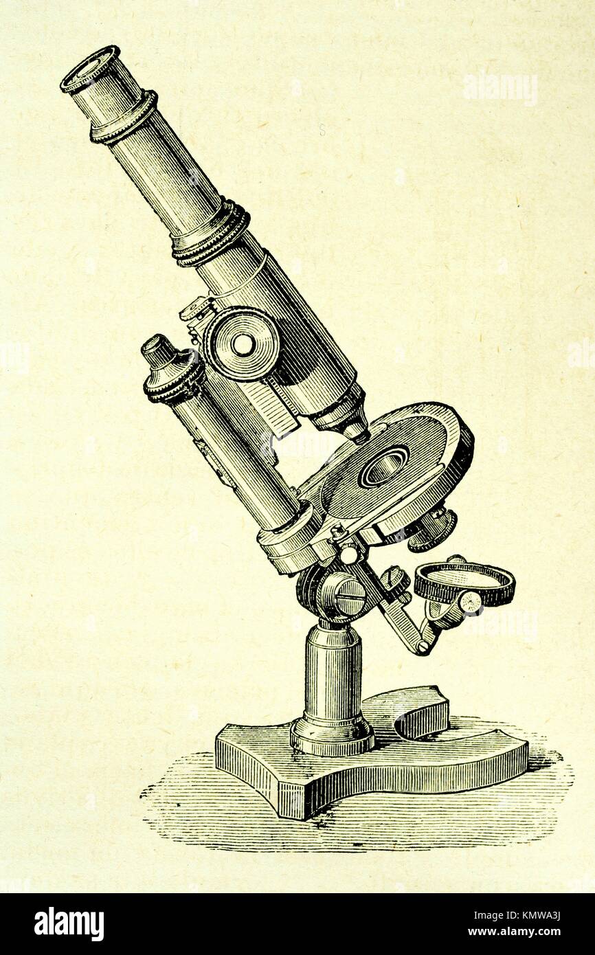Compound Microscope Drawing
