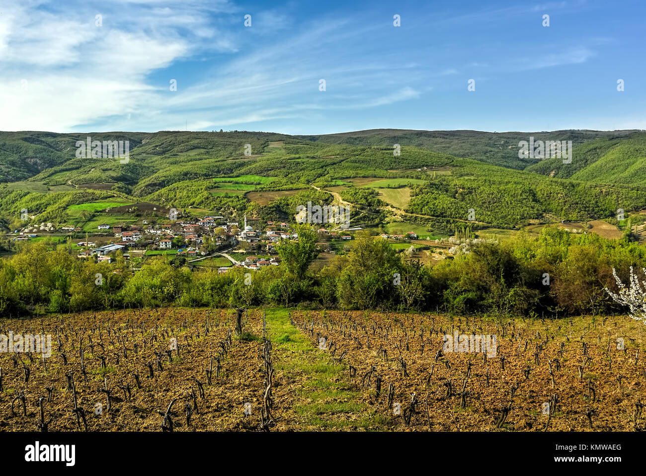 Grape yards, a village and beautiful country landscape under blue ...