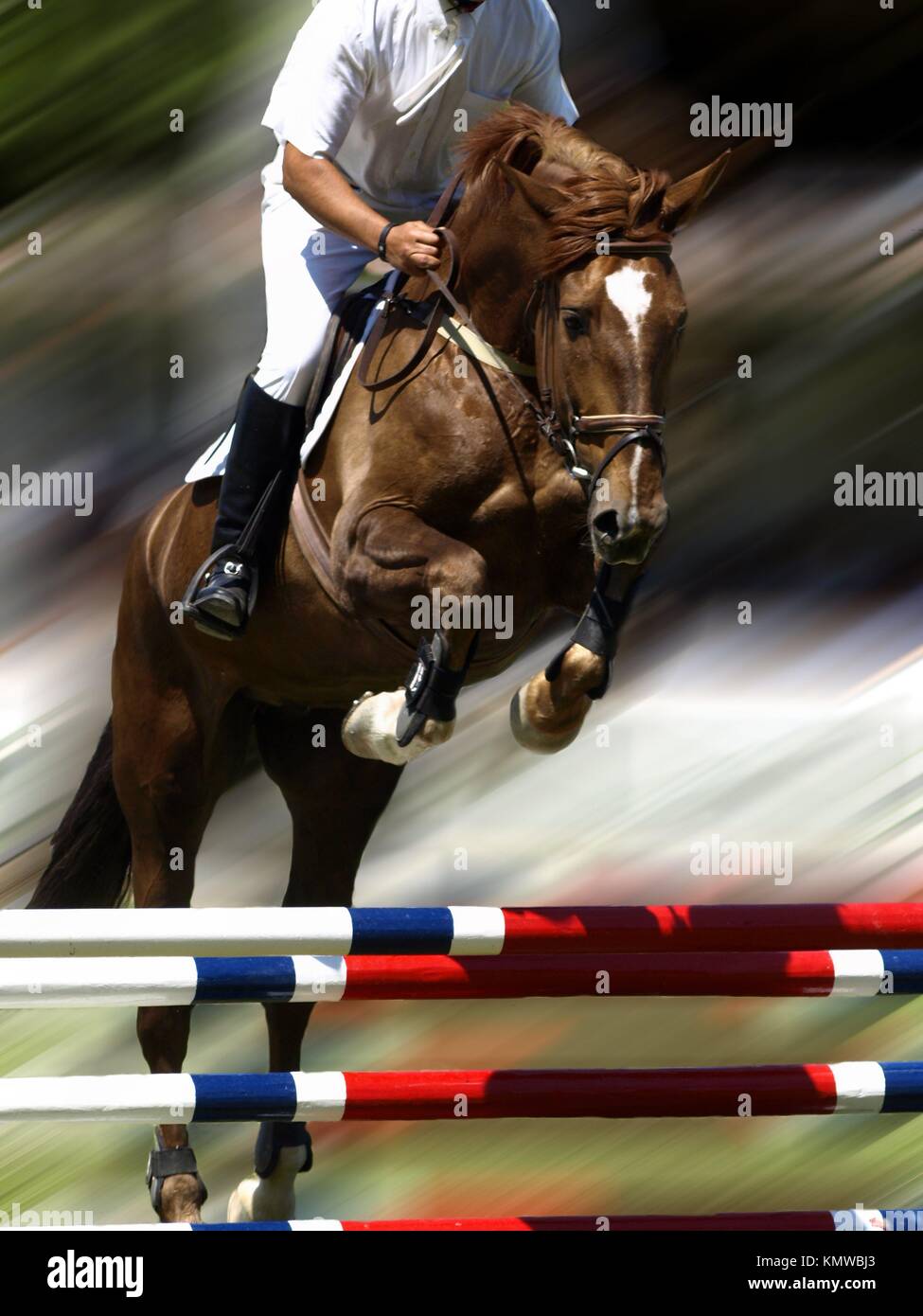 Spanish horse rider hi-res stock photography and images - Alamy