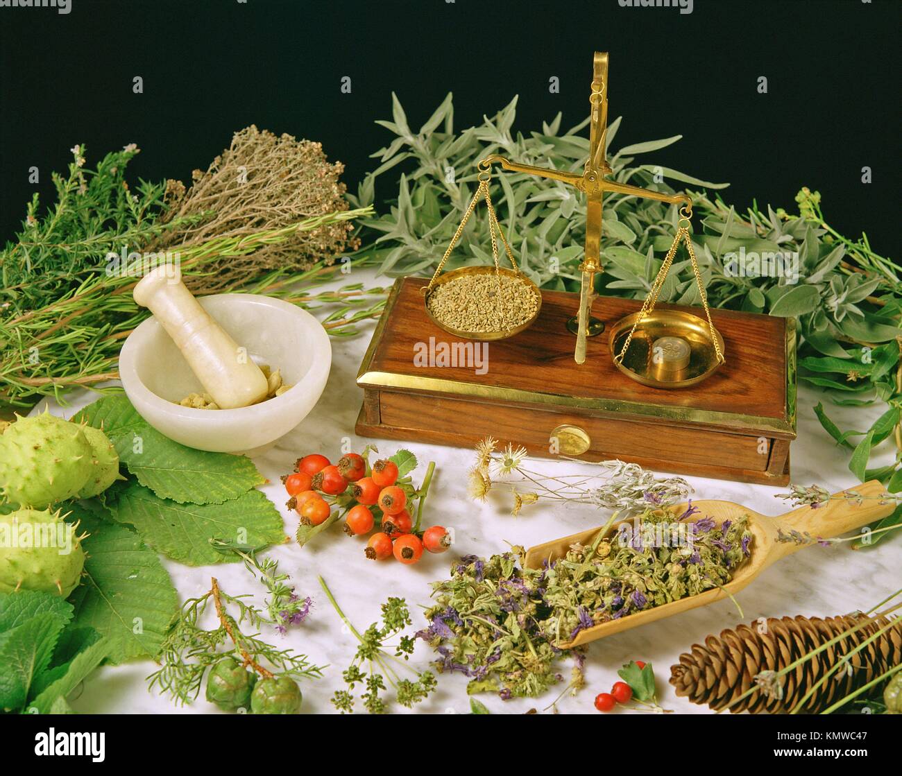 Horse food scoop hi-res stock photography and images - Alamy