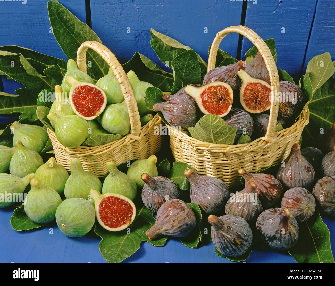 Varied fig hi-res stock photography and images - Alamy