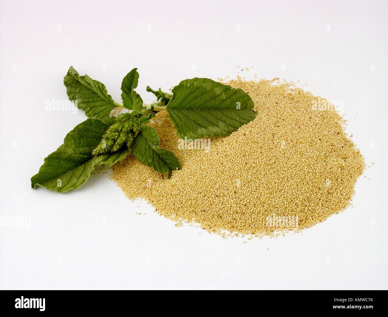 Amaranth color cut hi-res stock photography and images - Alamy
