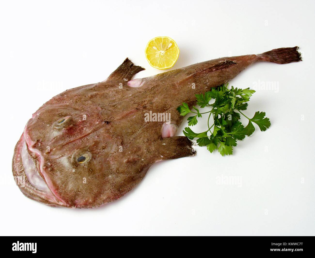 Monkfish Detail High Resolution Stock Photography and Images - Alamy