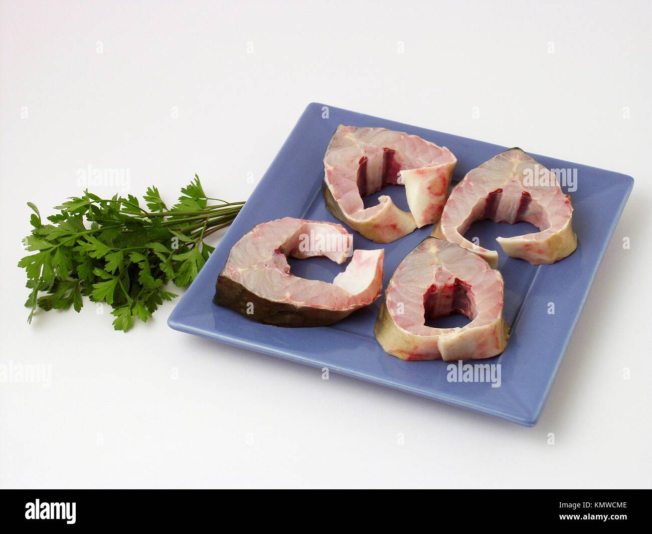 Sturgeon Detail High Resolution Stock Photography and Images - Alamy