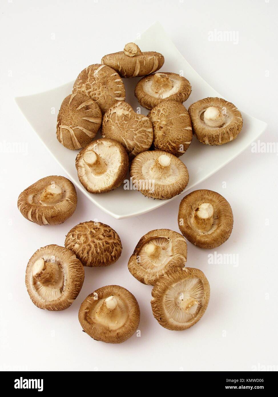 Nutrient shiitake hi-res stock photography and images - Alamy