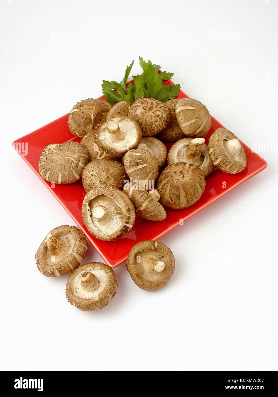 Nutrient shiitake hi-res stock photography and images - Alamy