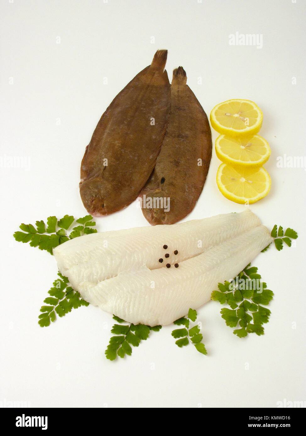 Sole fillet cut out hi-res stock photography and images - Alamy