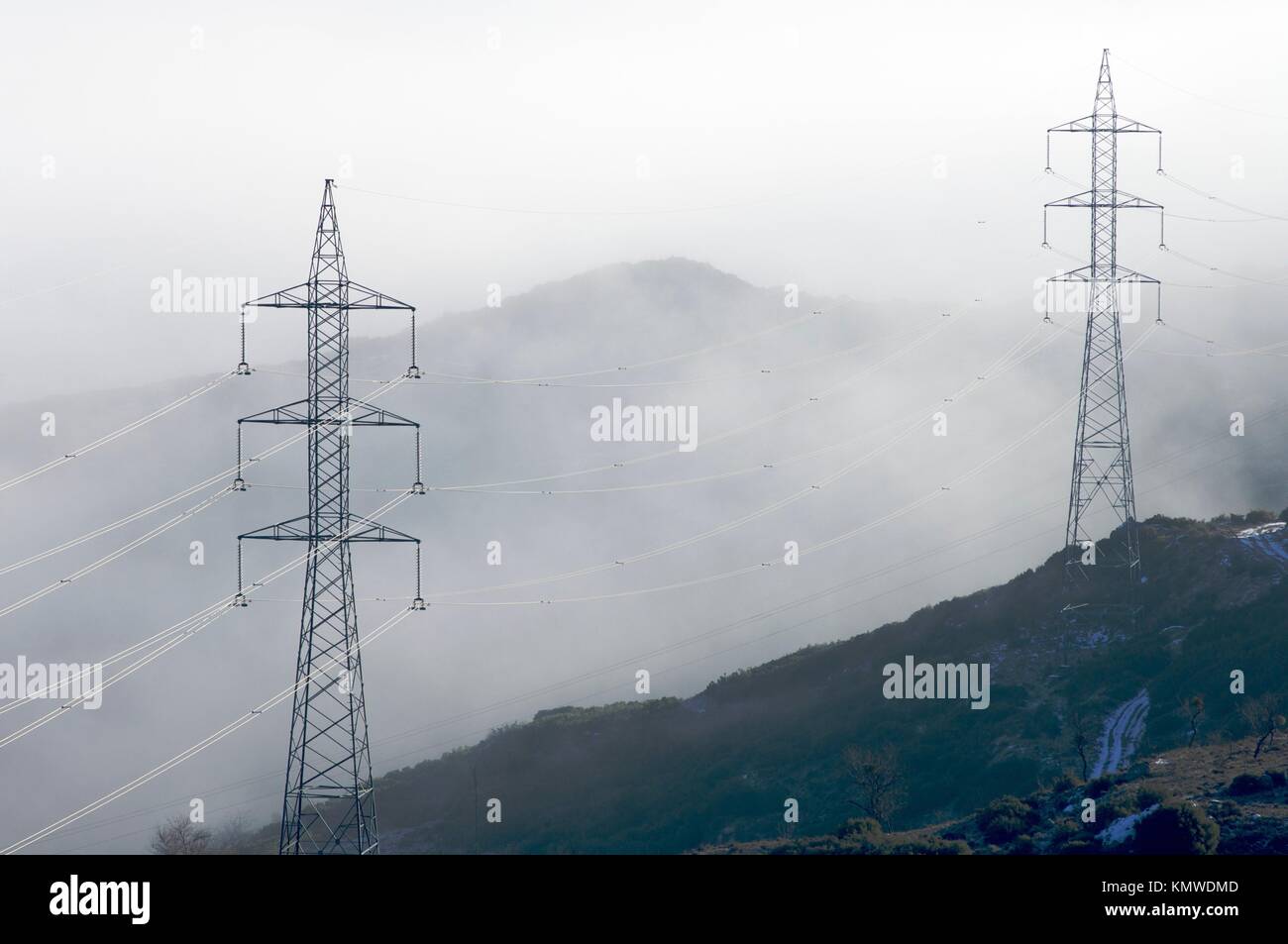 power line in the fog Stock Photo - Alamy