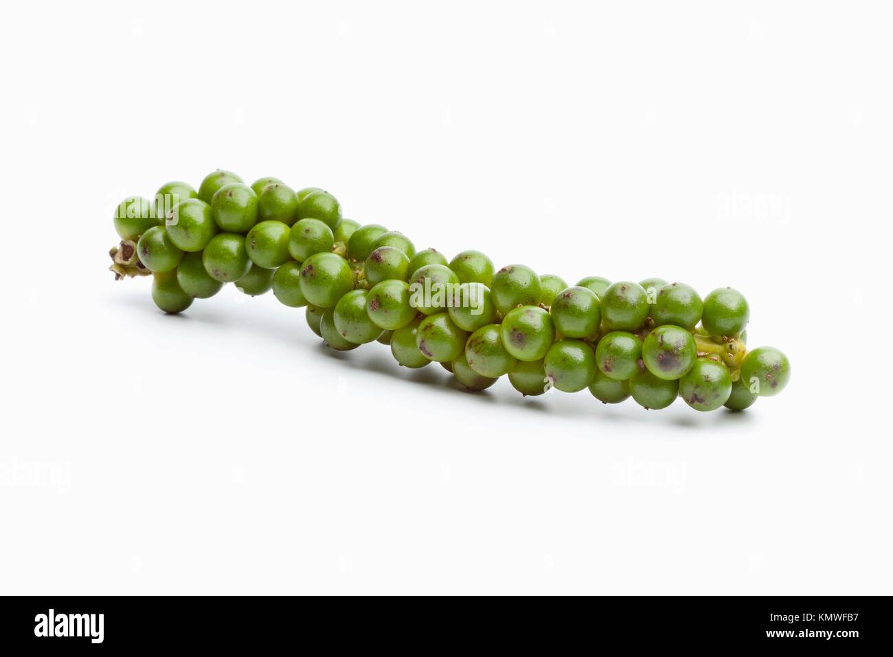 String of fresh unripe green pepper on white background Stock Photo - Alamy