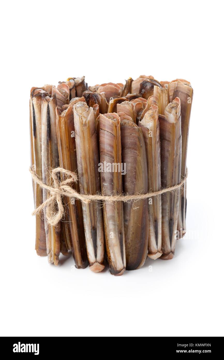 Razor shell white background hi-res stock photography and images - Alamy