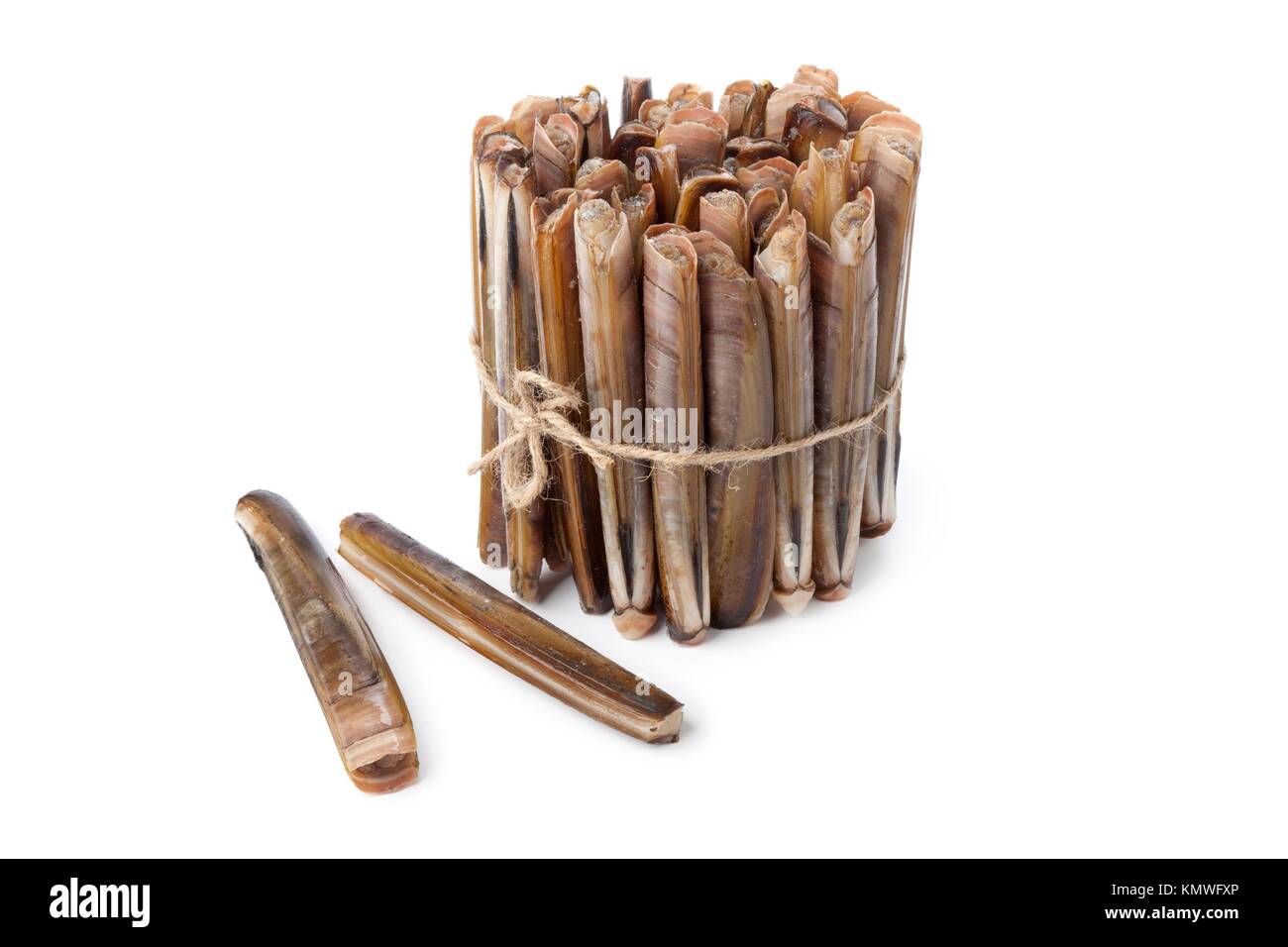 Razor shell ensis Cut Out Stock Images & Pictures - Alamy