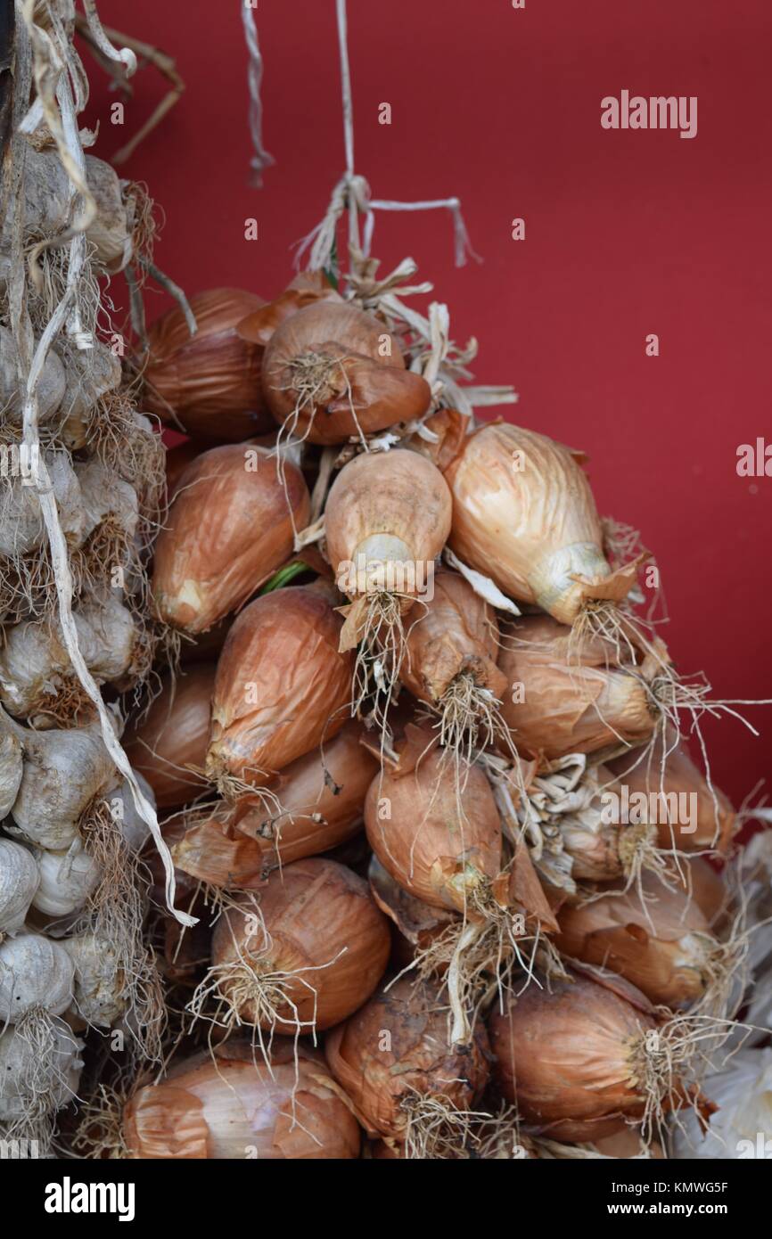Onions drying hung up with some garlic to one side Stock Photo - Alamy