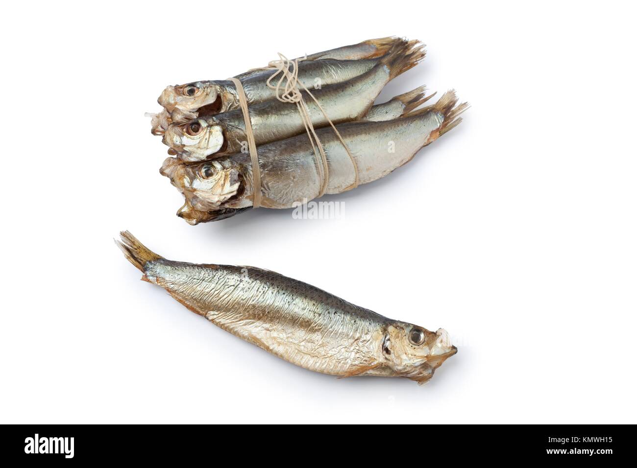 Atlantic pearlside hi-res stock photography and images - Alamy