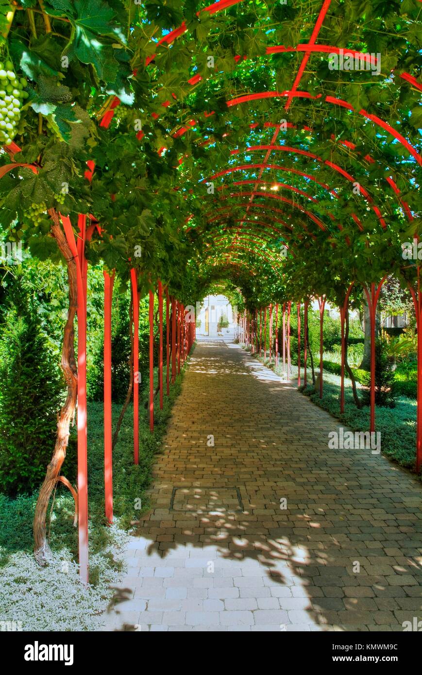 Arched pergola hi-res stock photography and images - Alamy
