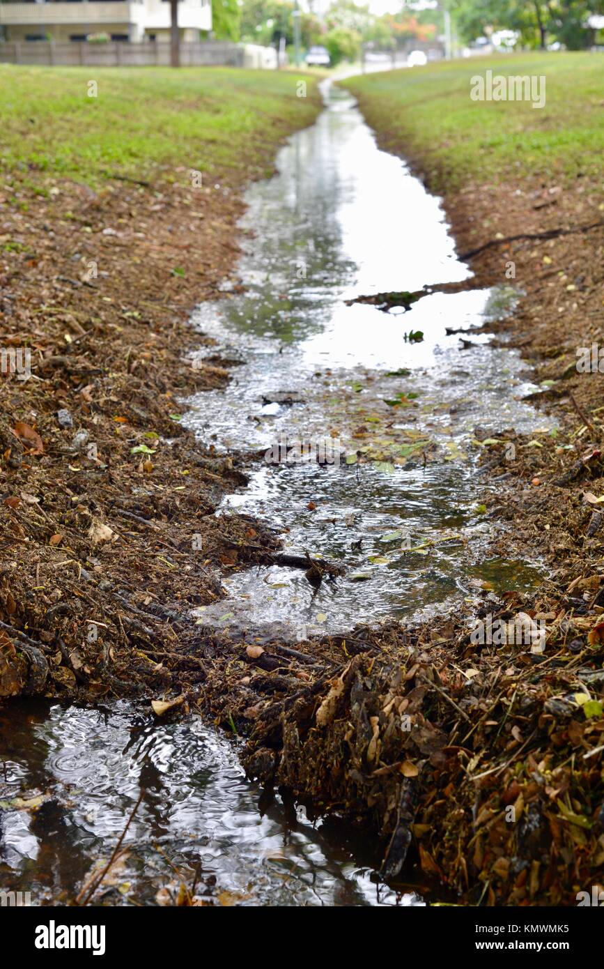 Water running in a drain in a forested park after a tropical downpour ...