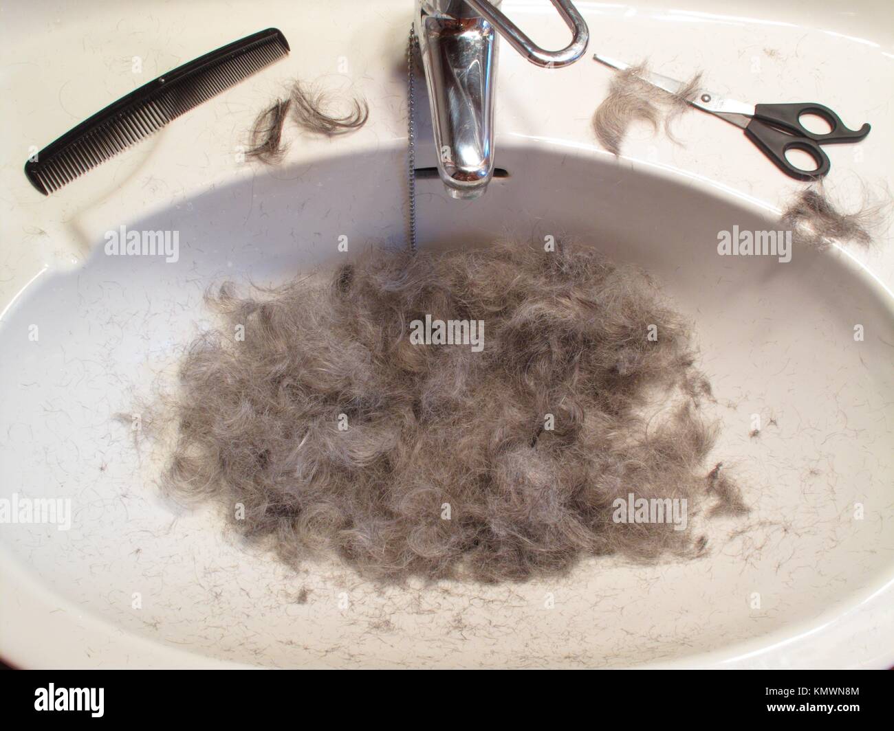 Cut toilet hi-res stock photography and images - Alamy