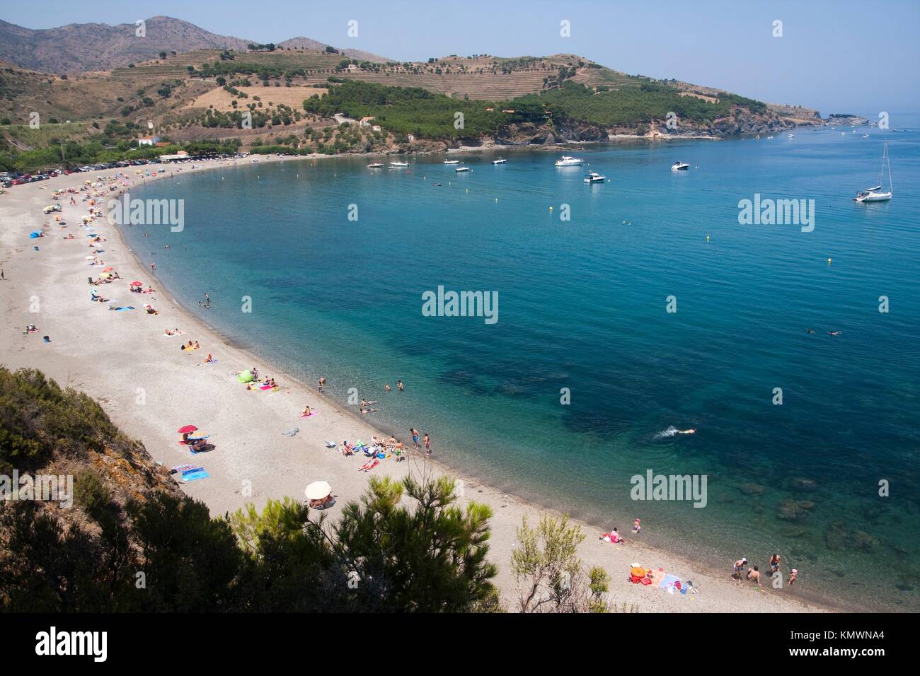 Colera hi-res stock photography and images - Alamy