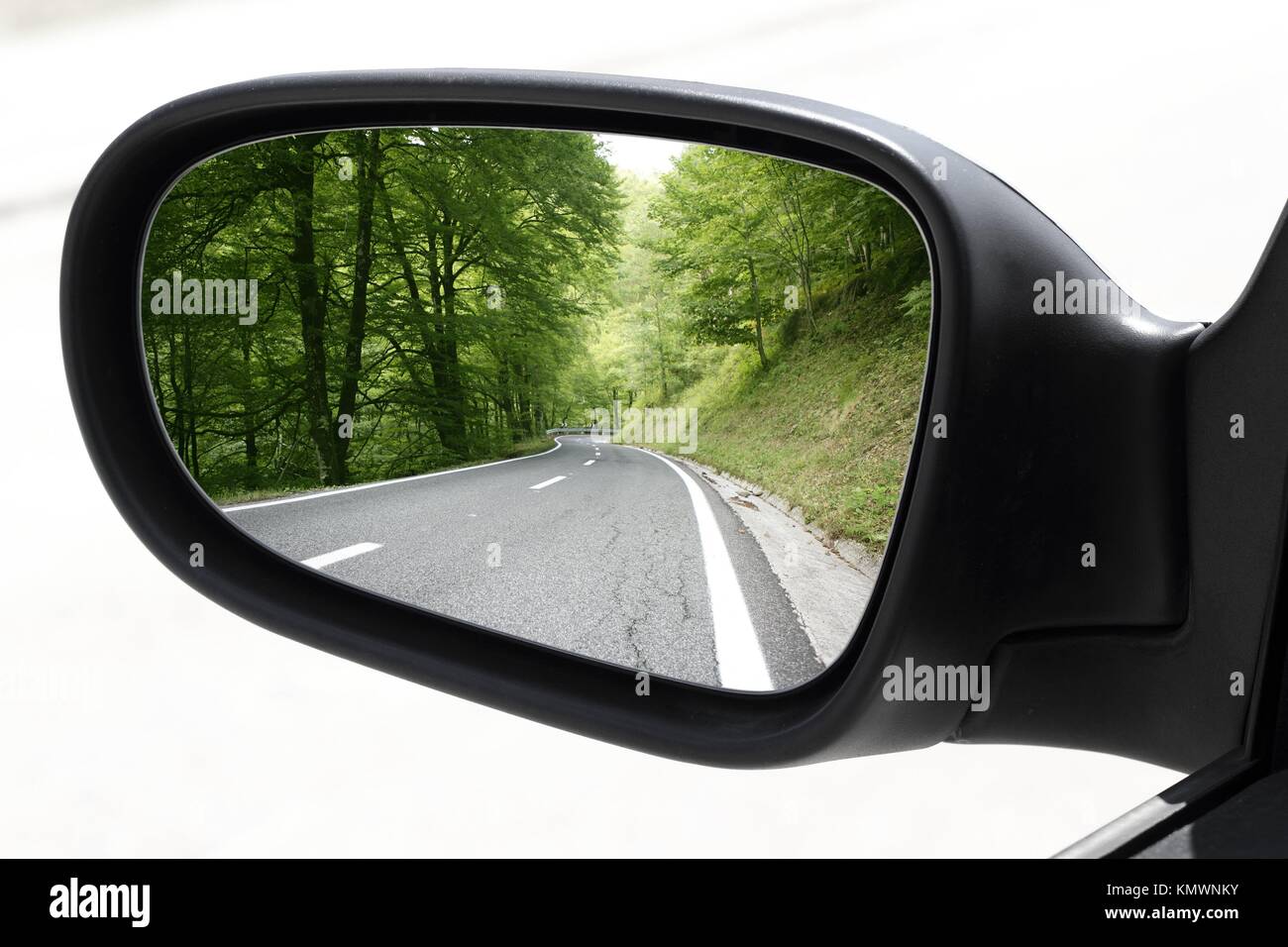 rearview car driving mirror view green forest road Stock Photo - Alamy