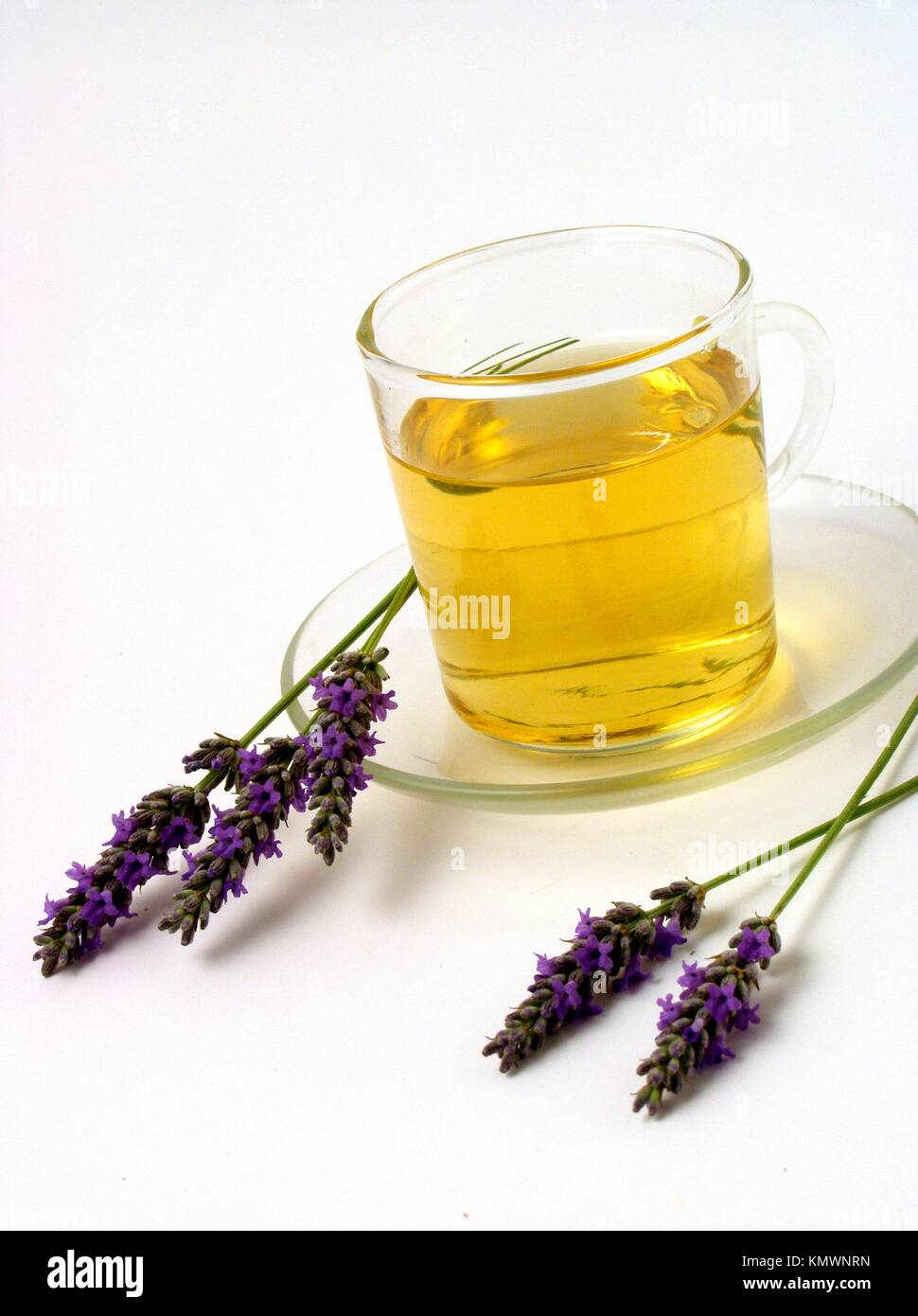 Lavender infusion lavandula officinalis hi-res stock photography and ...