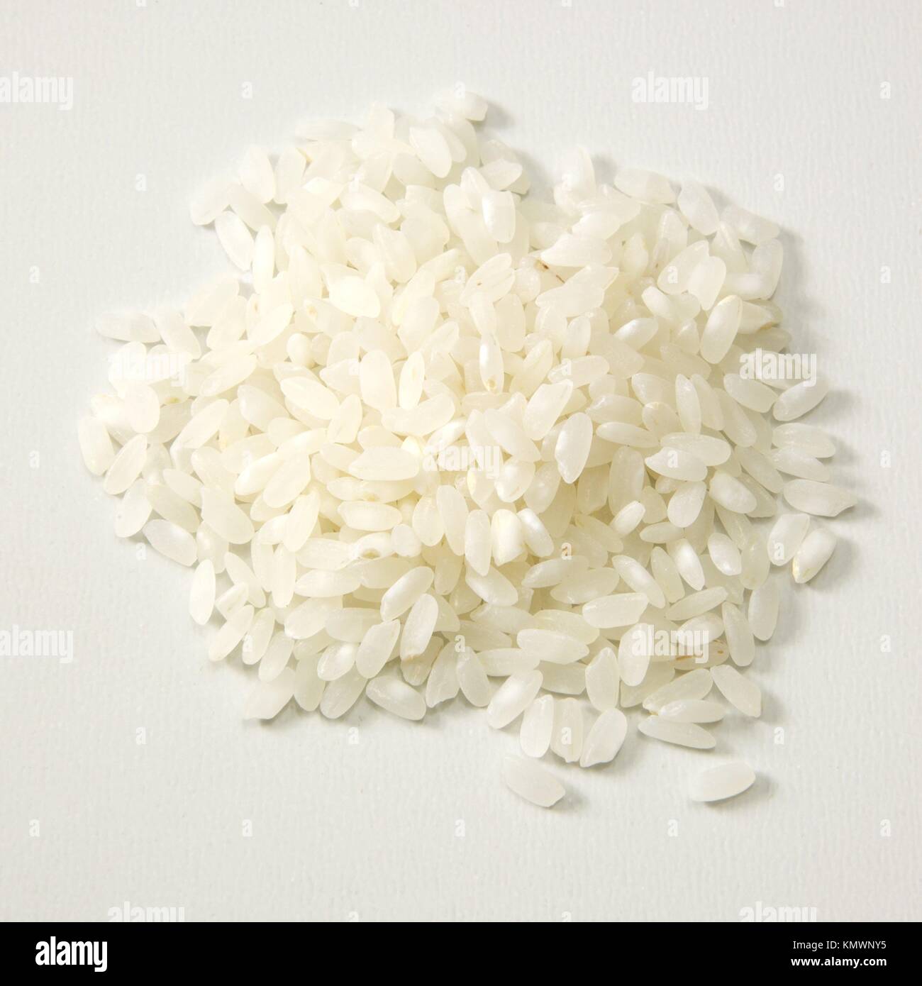 Round grain rice Stock Photo - Alamy