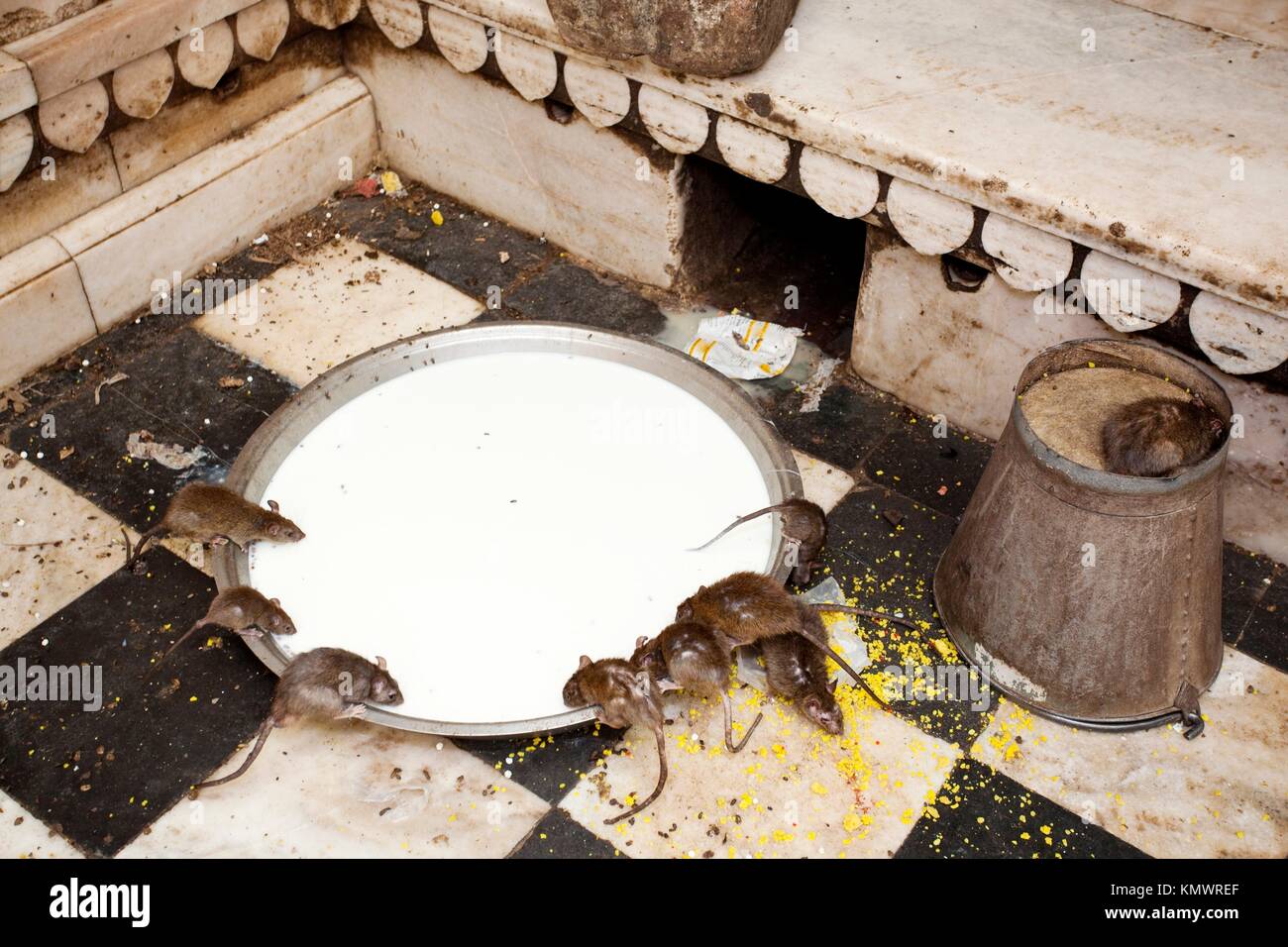 Mouse Temple High Resolution Stock Photography and Images - Alamy