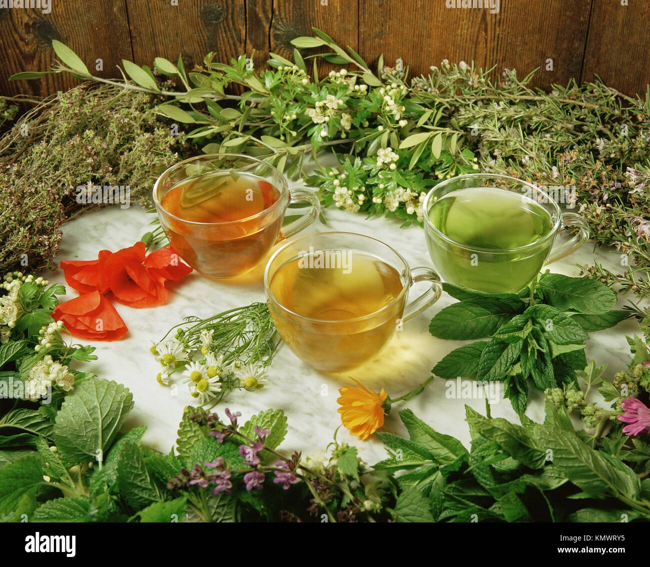 Infusion of melissa officinalis hi-res stock photography and images - Alamy