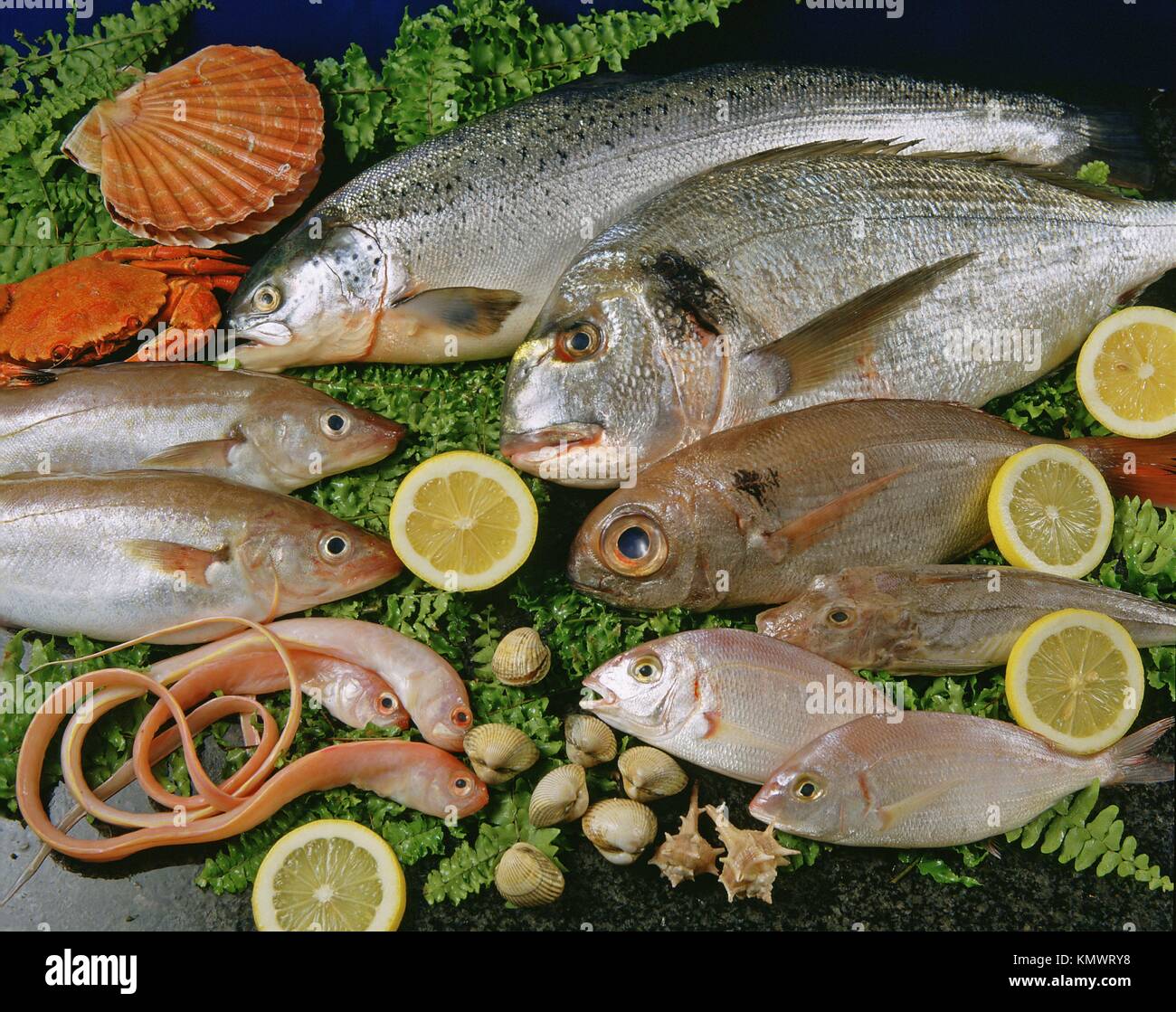 James Cockle High Resolution Stock Photography and Images - Alamy