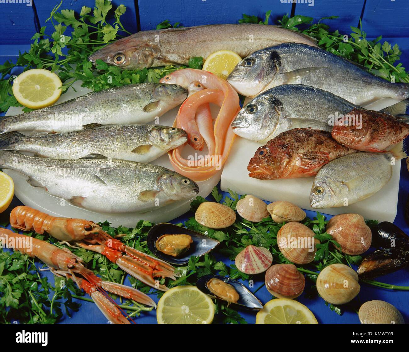 Dublin bay prawn fishing hi-res stock photography and images - Alamy