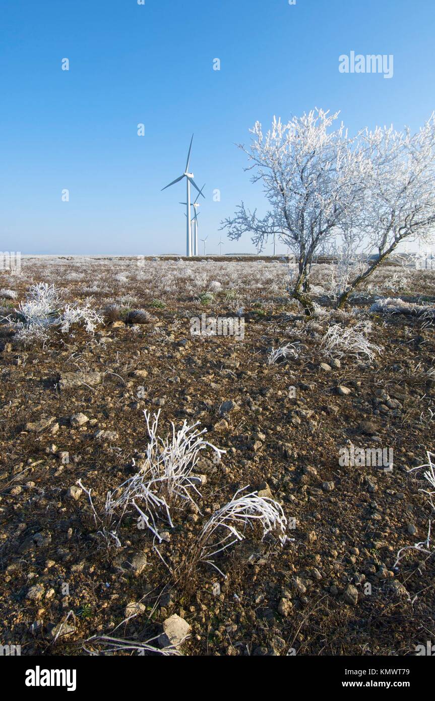 Cold steppe climate hi-res stock photography and images - Alamy