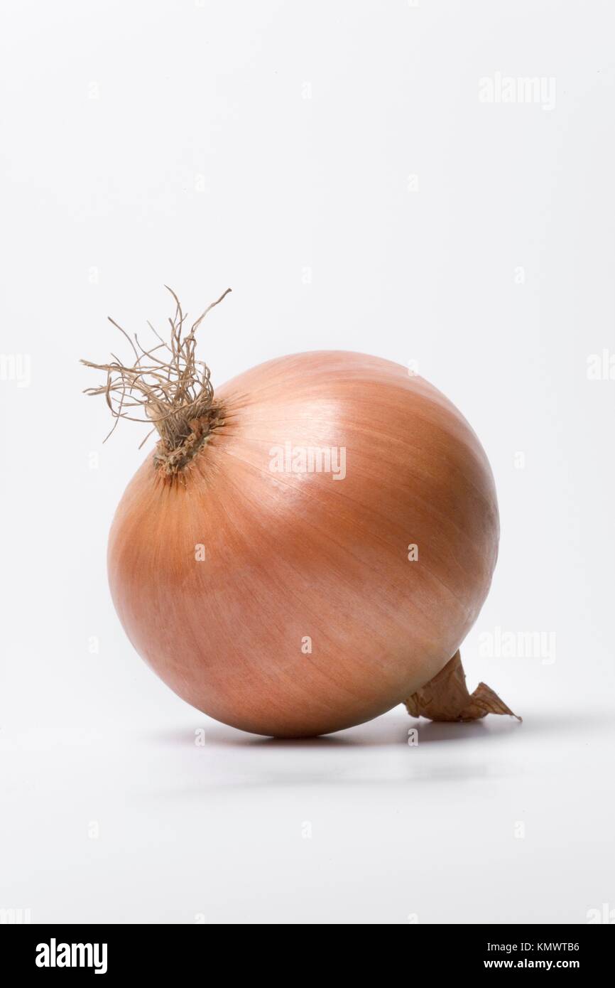 One Onion