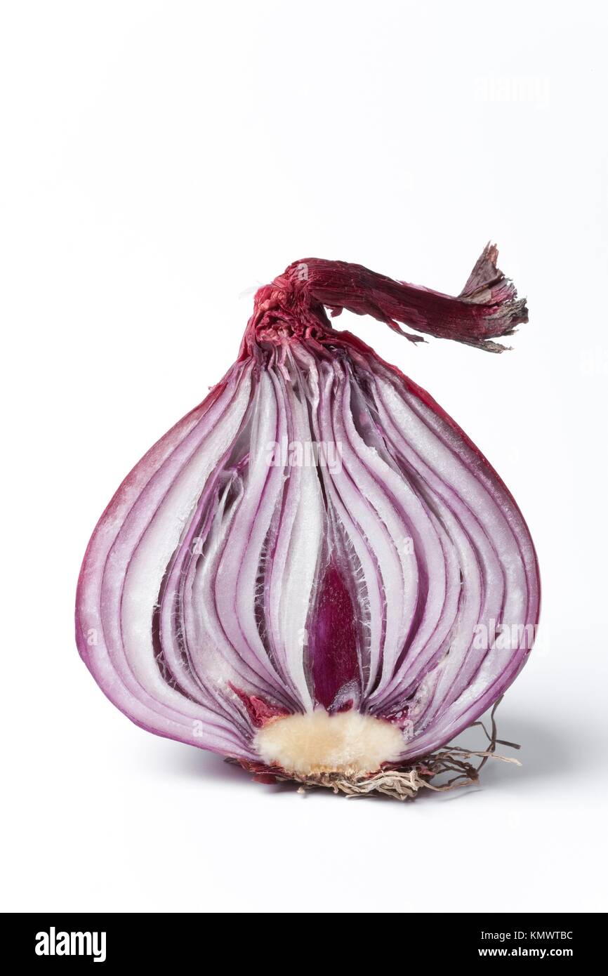 Structure of onion hi-res stock photography and images - Alamy