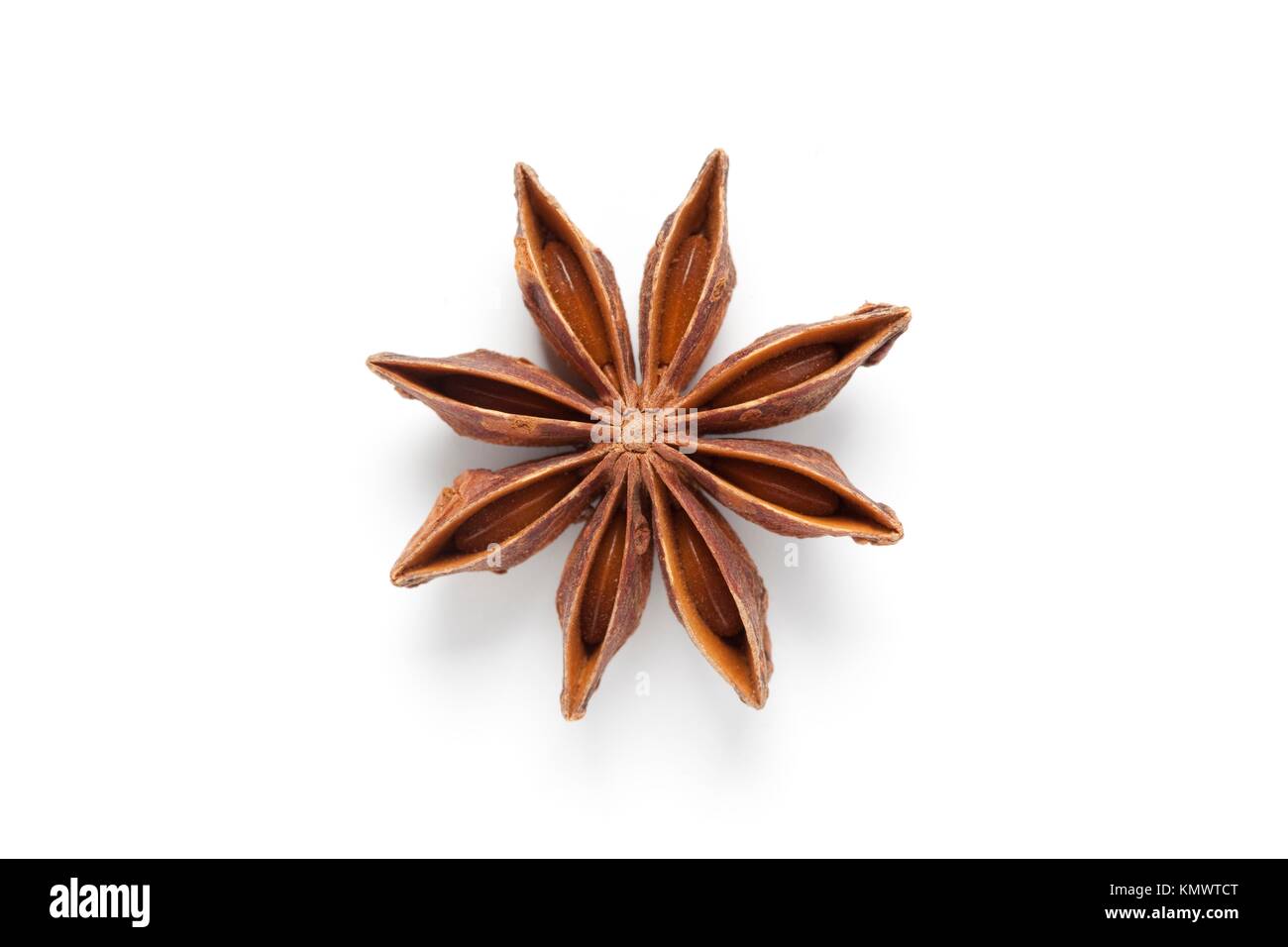 One single star anise on white background Stock Photo - Alamy