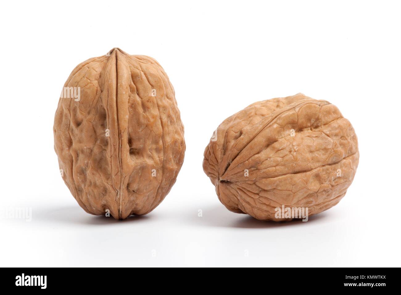 Two walnut hi-res stock photography and images - Alamy
